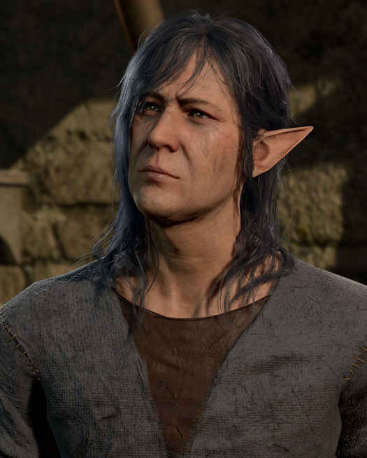 Arnell Hallowleaf - Baldur's Gate 3 Wiki