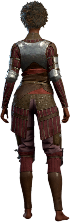 File:Half Plate Armour Human Back Model.webp - bg3.wiki