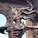 Retrieve Omeluum - bg3.wiki