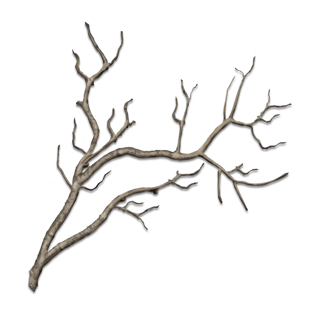 File:Sticker Env Dead Branch A.webp - bg3.wiki