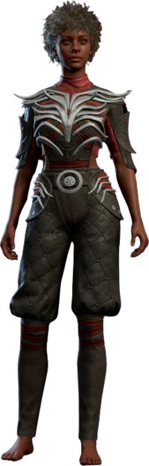 The Graceful Cloth - bg3.wiki