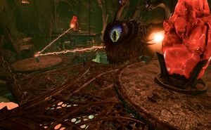 House of Hope - bg3.wiki