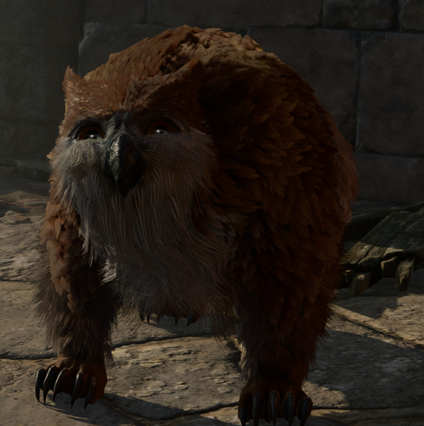 Owlbear Cub - bg3.wiki
