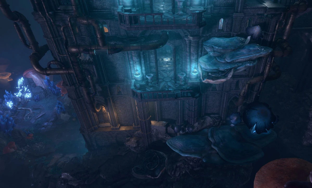 File:Fungus Platform.jpg - bg3.wiki