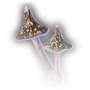 Rogue's Morsel - bg3.wiki