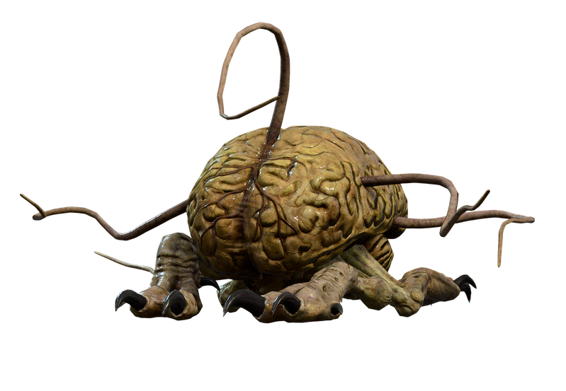 Intellect Glutton - bg3.wiki