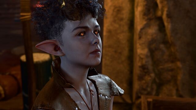 Return the Locket - bg3.wiki