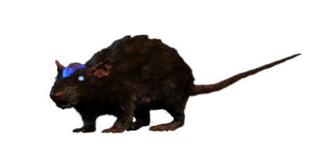 Cranium Rat - Baldur's Gate 3 Wiki