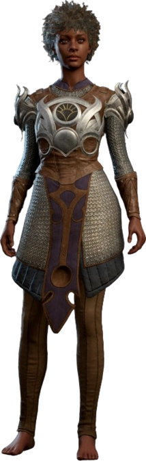 Chain Shirt - bg3.wiki