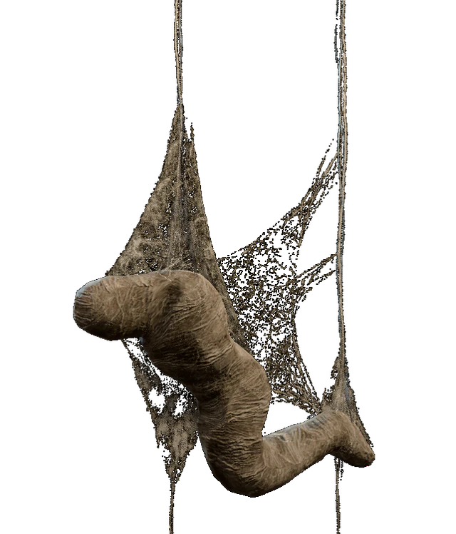Spider Silk Cocoon - bg3.wiki