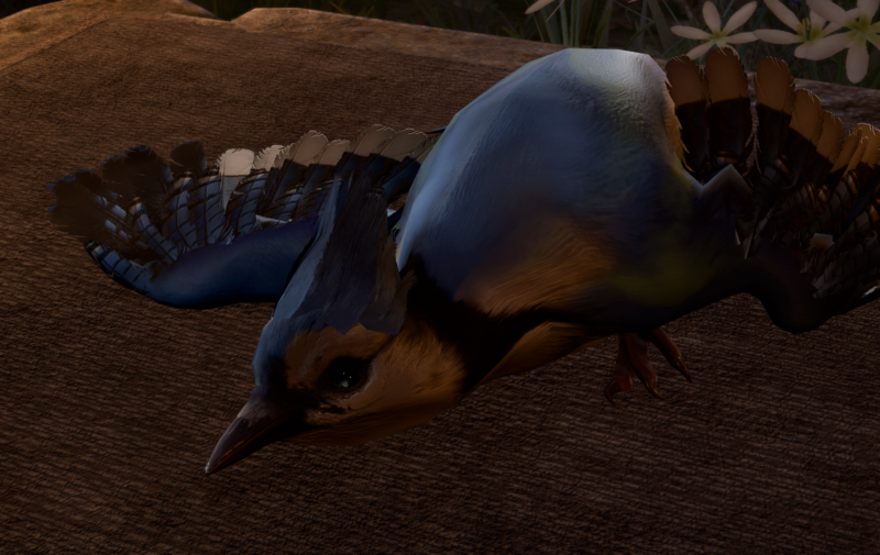 Wounded Bird - bg3.wiki