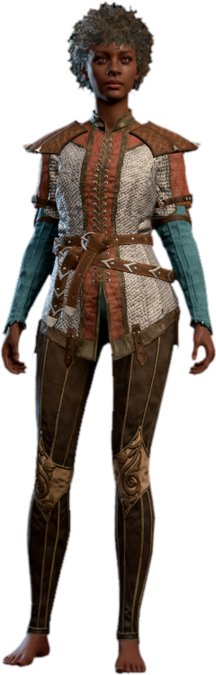 Robust Chain Shirt - bg3.wiki