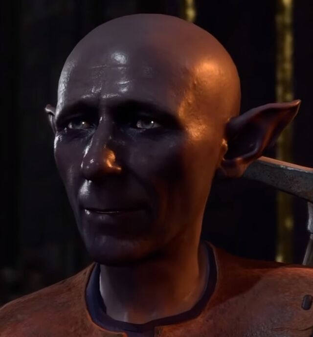 Barcus Wroot - bg3.wiki