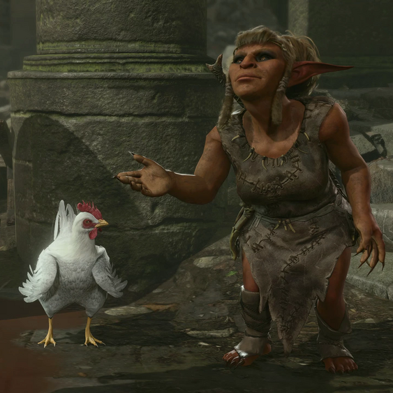 Dishevelled Chicken - bg3.wiki