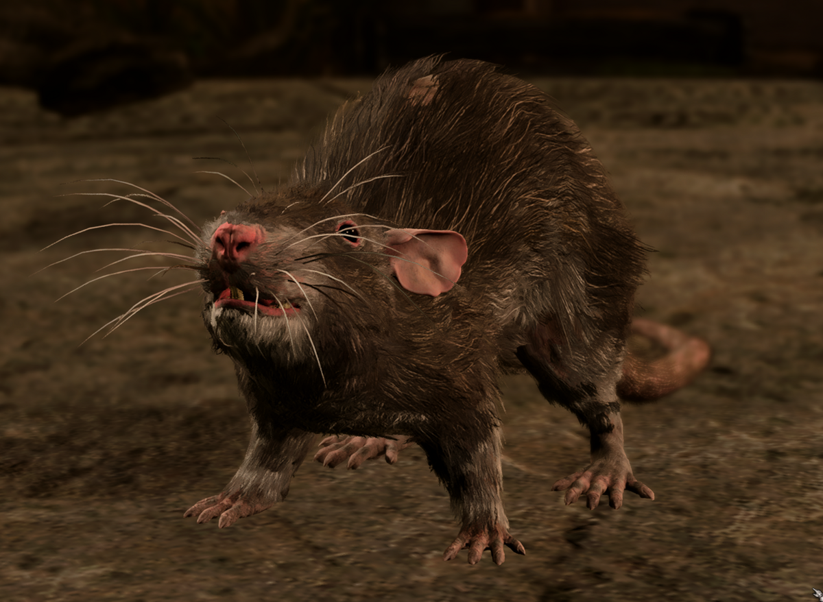 Messenger Rat - bg3.wiki