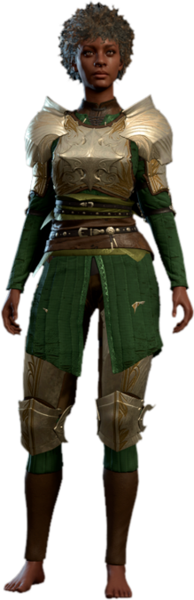 Half Plate Armour +2 - bg3.wiki