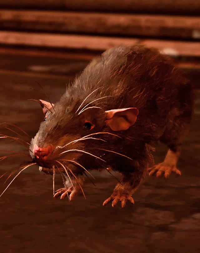 Eternal Rat - bg3.wiki