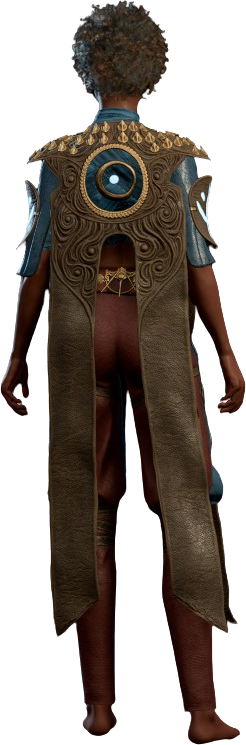 File:Vest of Soul Rejuvenation Human Back Model.webp - bg3.wiki