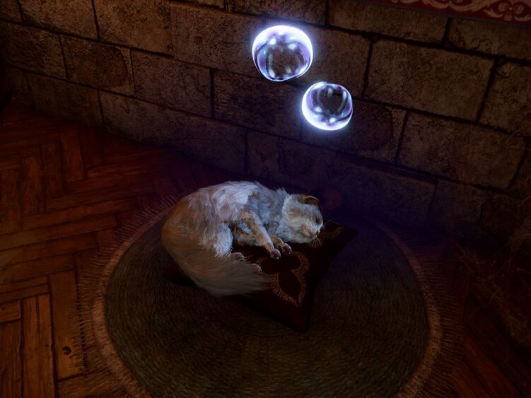 His Majesty - bg3.wiki