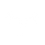 Elf - bg3.wiki