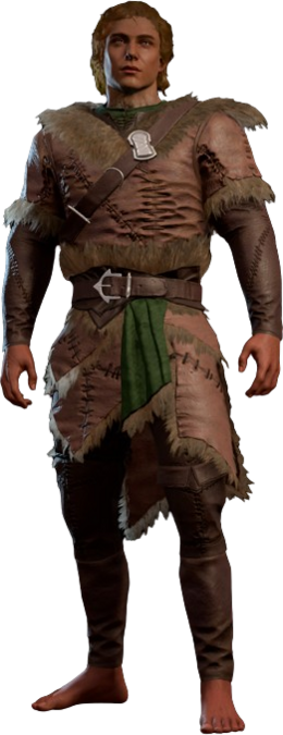 Barkskin Armour - bg3.wiki