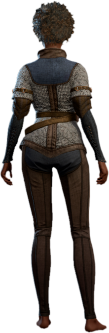 Chain Shirt - bg3.wiki