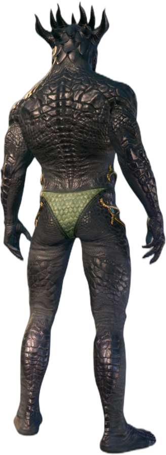 Underwear/Dragonborn - bg3.wiki