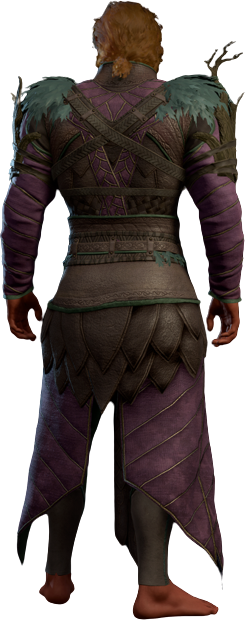 Armour of the Sporekeeper - bg3.wiki