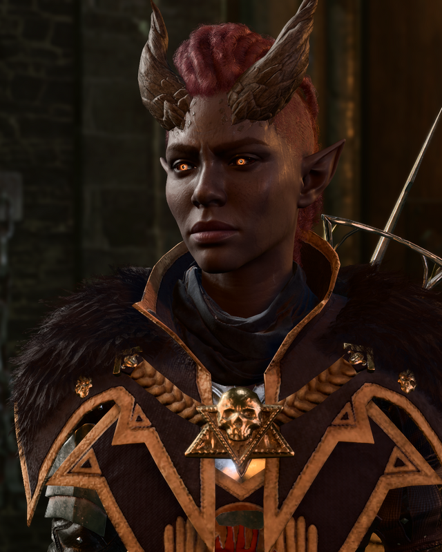 The Warden - bg3.wiki