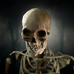 Skeleton - bg3.wiki