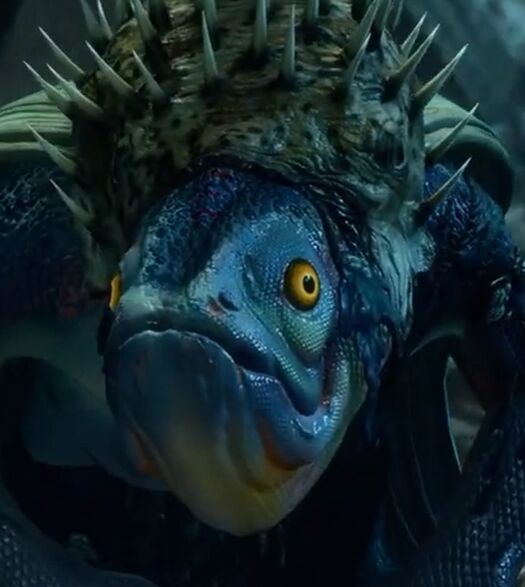 Pooldripp the Zealous - Baldur's Gate 3 Wiki