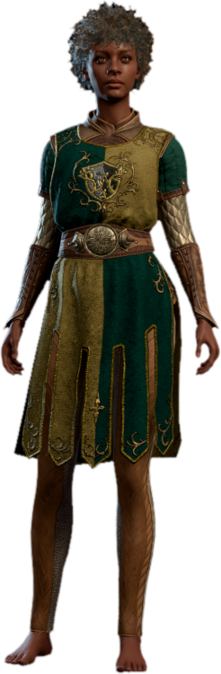 Scale Mail of the Ancients - bg3.wiki
