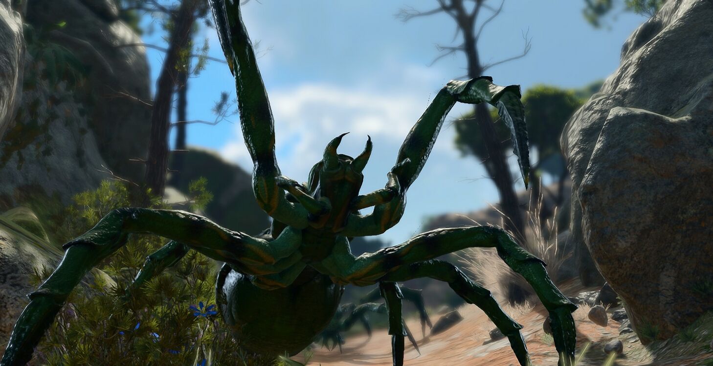 Sword Spider - bg3.wiki