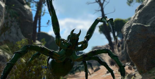 File:Sword Spider.jpg - bg3.wiki