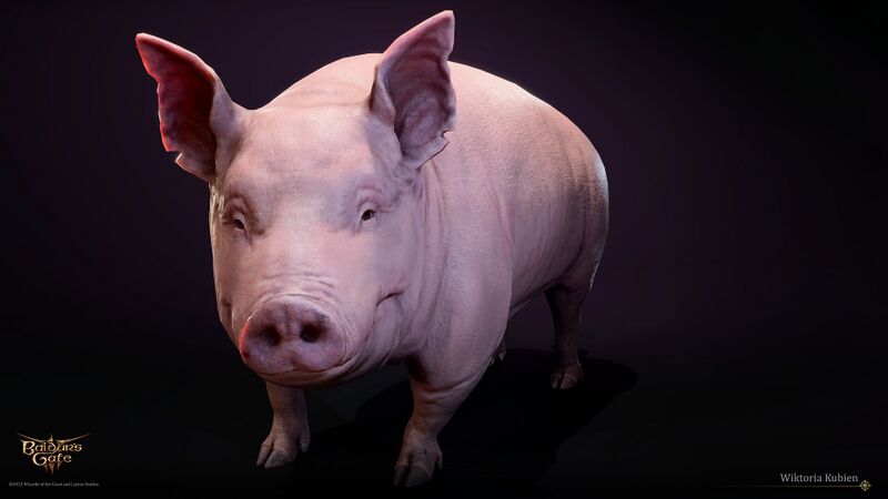 Pig - bg3.wiki