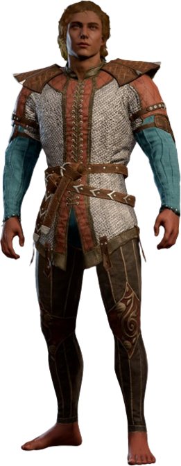 Robust Chain Shirt - bg3.wiki