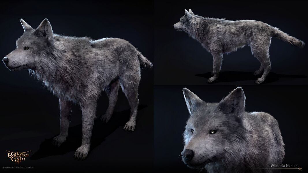 Wolf - bg3.wiki