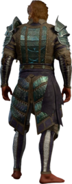Category:Heavy armour models - bg3.wiki