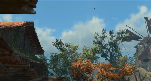 Barcus Wroot - bg3.wiki