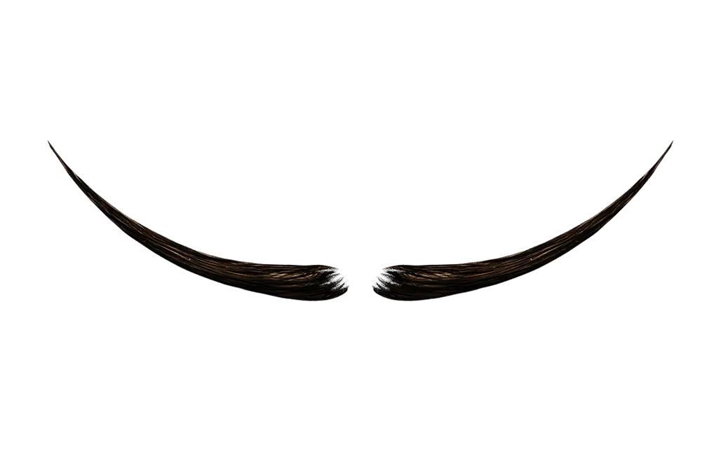 File:Sticker Cosmetic Moustache C.webp - bg3.wiki