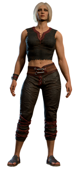 Wyll's Earthy Garb - bg3.wiki