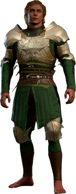 Half Plate Armour +2 - bg3.wiki