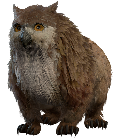 Baldur’S Gate 3 Owl Bear – Owlbear Nest Baldur’S Gate 3 – KOJIK