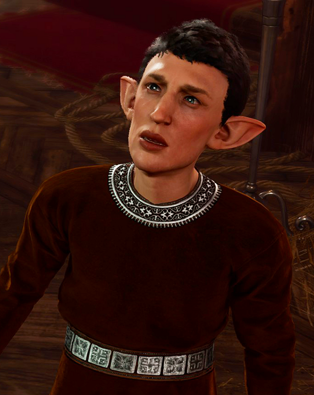 Verryn - bg3.wiki