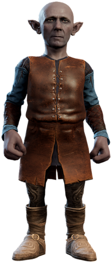 Barcus Wroot - Baldur's Gate 3 Wiki