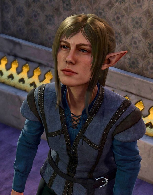 Dilgar Sneese - bg3.wiki