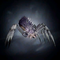 Spider - bg3.wiki