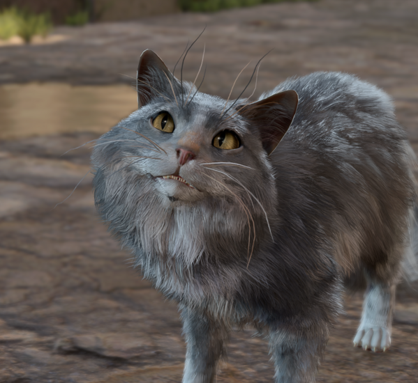 Zambomba - bg3.wiki