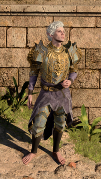 File:Blackguard's Plate in game male.png - bg3.wiki