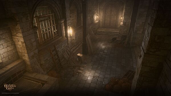 Flymm Cargo - bg3.wiki